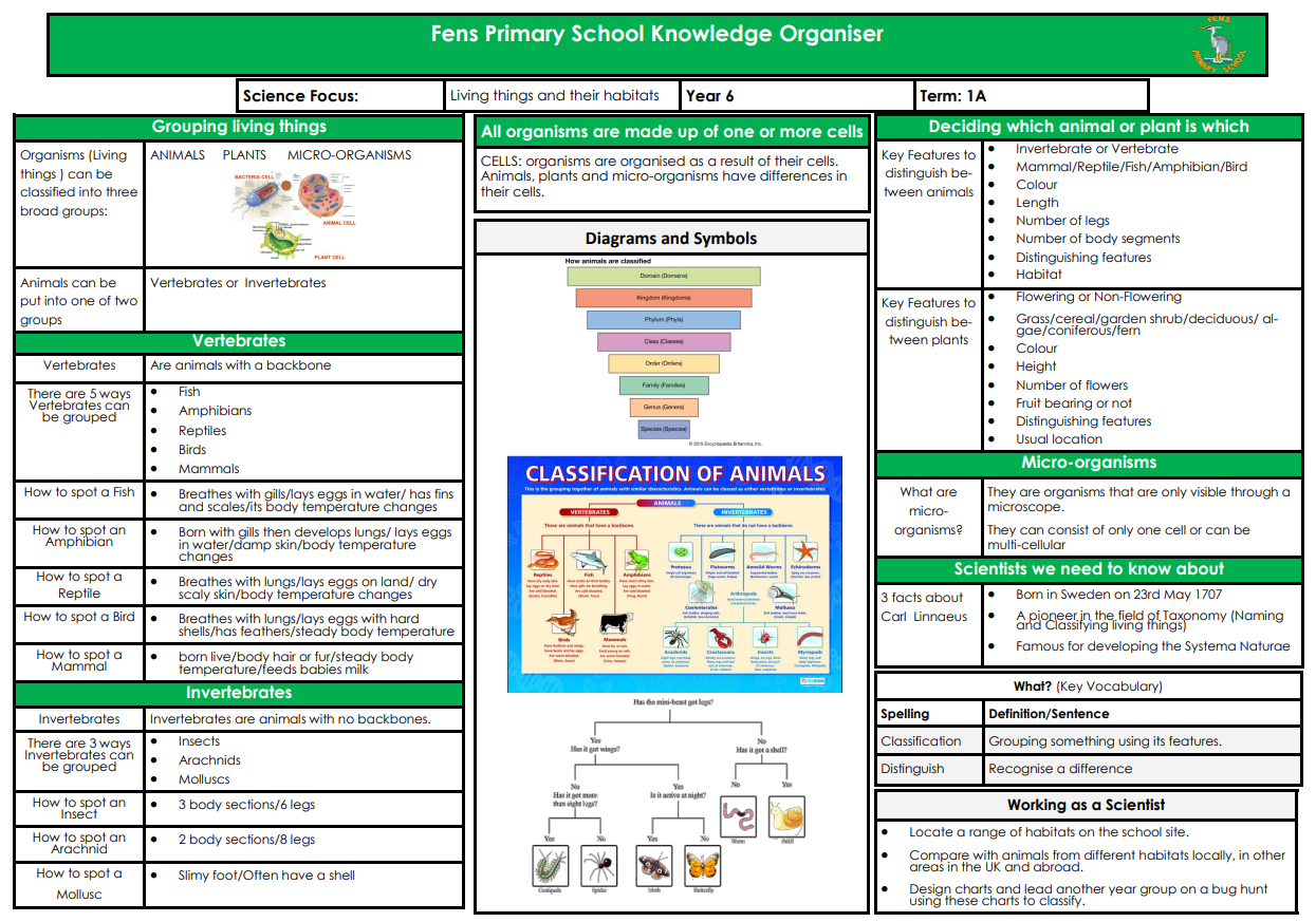 YEAR SIX - KNOWLEDGE ORGANISERS